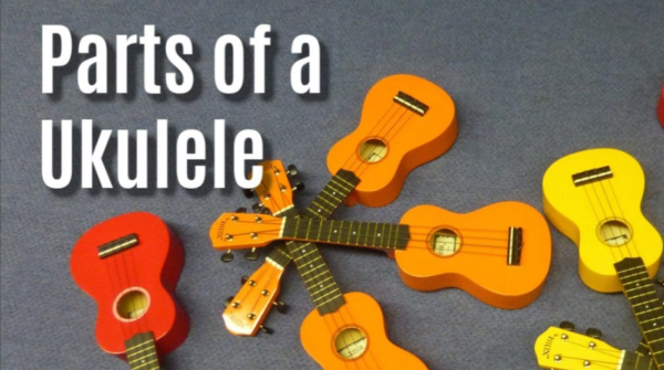 Everything you need to know about the Amazing History of the Ukulele