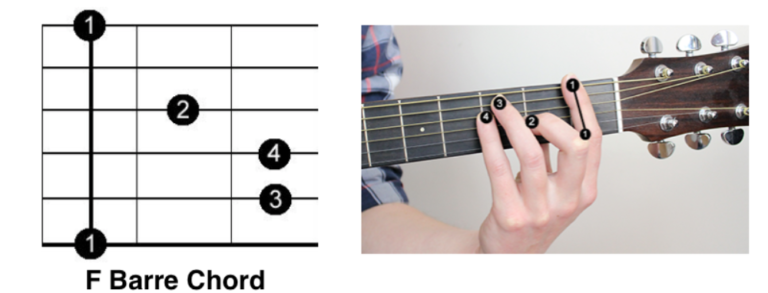 Everything You Need To Know About The F Barre Chord